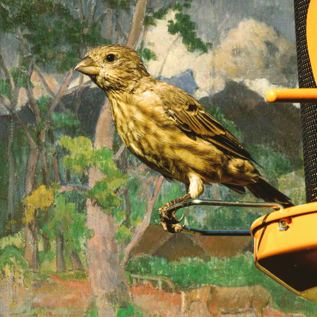 When the Night Is Near as a Bird by Doris Ferleger - The Los Angeles ...