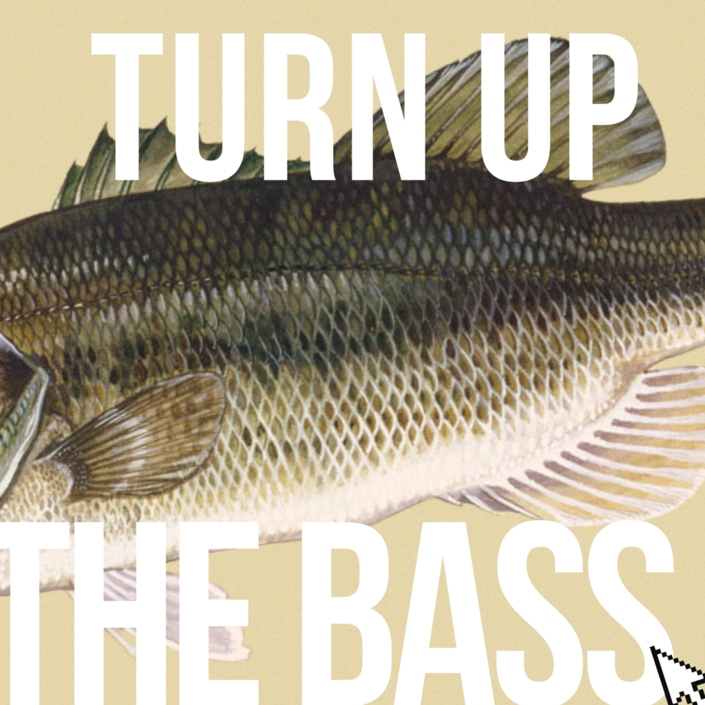 Turn up the Bass by Rick Andrews - The Los Angeles Review The Los ...