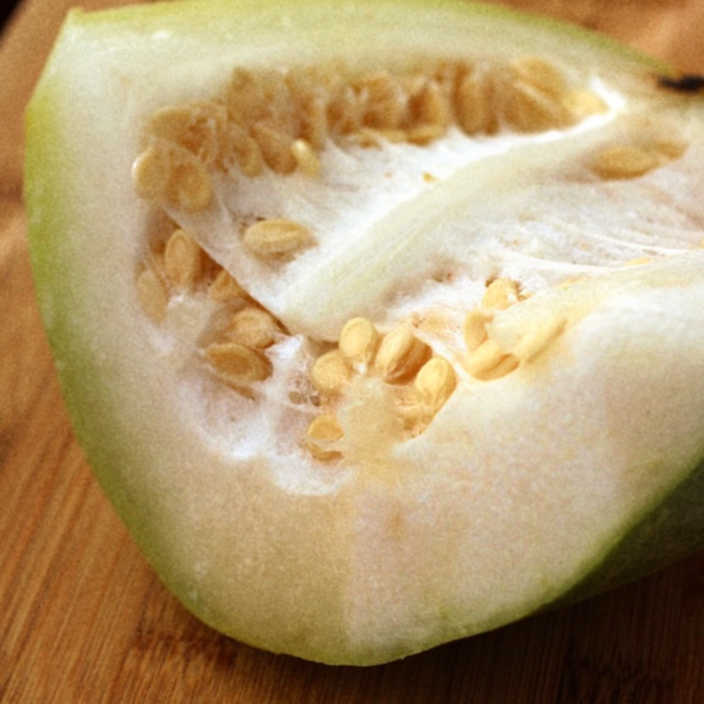 Elegy in an Orchid’s Soil by Jerry Xiao - The Los Angeles Review The ...