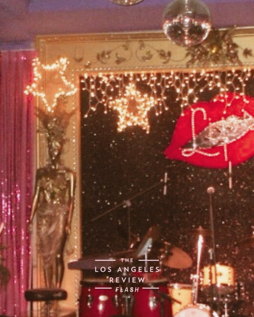 Karl Marx Hates My Drag Show by Seth Wade - The Los Angeles Review The ...