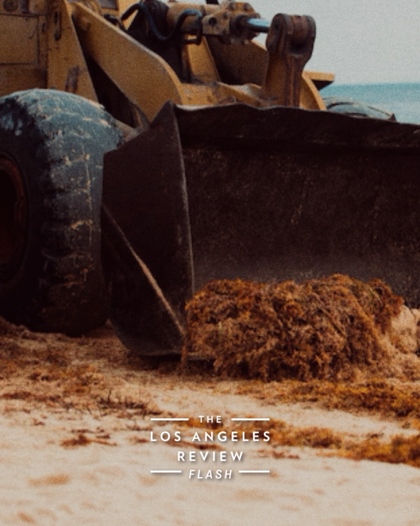 Erosion Control by Daniel Rousseau - The Los Angeles Review The Los ...